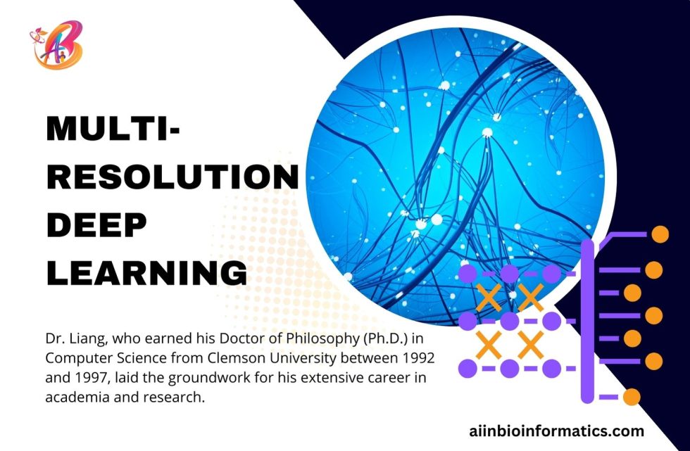 Multiresolution Deep Learning - aiinbioinformatics